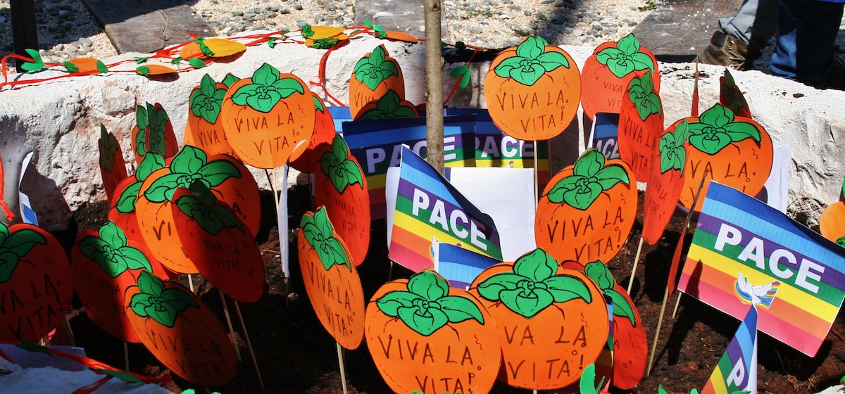 Kaki Tree Projiect - 16 marzo 2018 - Montone - MontoneIn